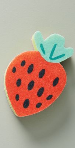 Anthropologie - Strawberry Sponge