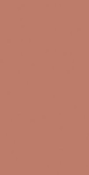 Farrow & Ball - Red Earth No.64