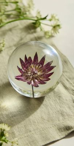 Terrain - Botanical Resin Paperweight