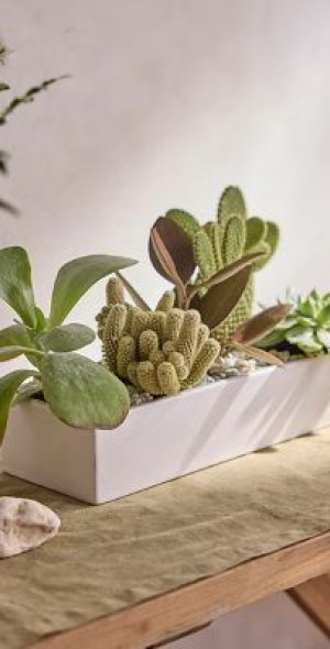 Terrain - Ceramic Trough Planter