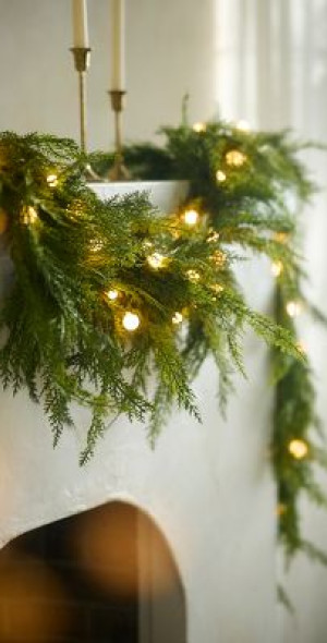 Terrain - Cherry Ball Light Strand