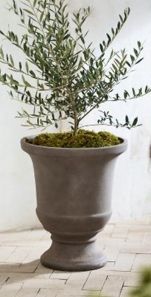 Terrain - Concrete Fluted Edge Urn Planter