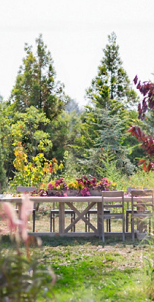 Terrain - Country Teak Dining Table