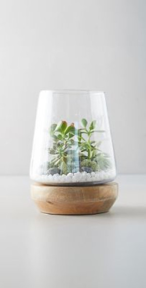 Terrain - Farmhouse Terrarium