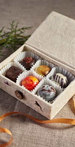 Terrain - Knipschildt Signature Collection Chocolates