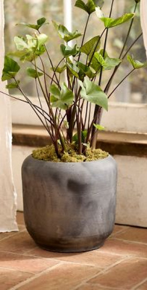 Terrain - Luca Rounded Planter