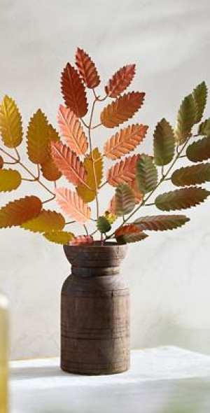 Terrain - Mountain Ash Iron Bunch