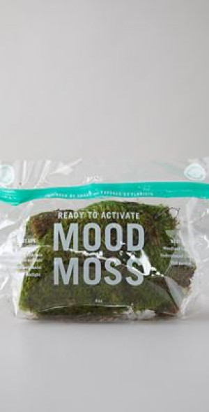 Terrain - Preserved Mood Moss
