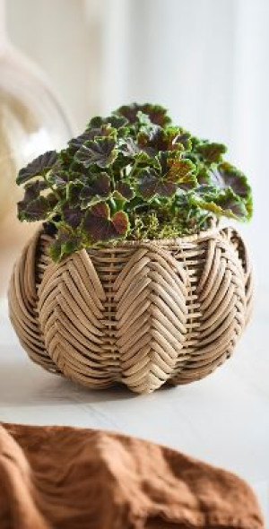 Terrain - Pumpkin Woven Rattan Pot