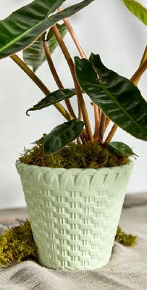 Terrain - Scalloped Lattice Ceramic Taper Pot
