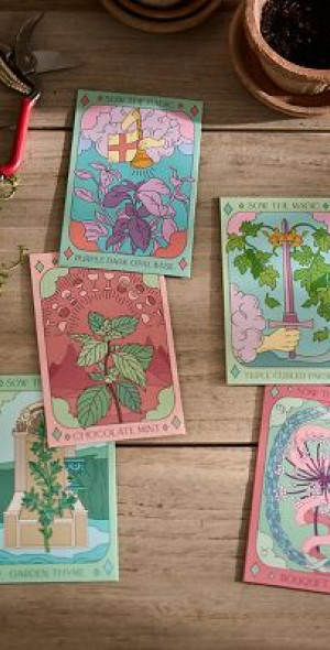 Terrain - Sow the Magic Herb Seed Collection