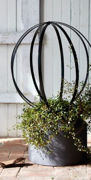 Terrain - Sphere Topiary Frame