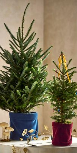 Terrain - Tabletop Tree