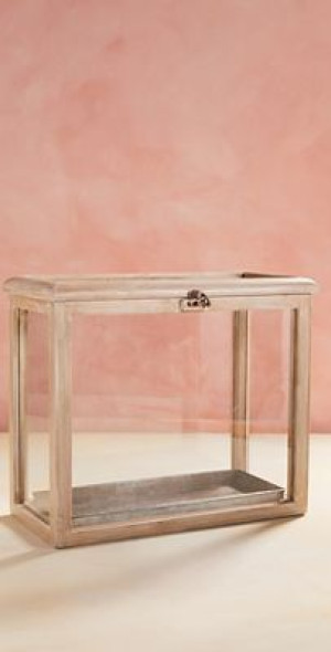 Terrain - Terrarium Display Box