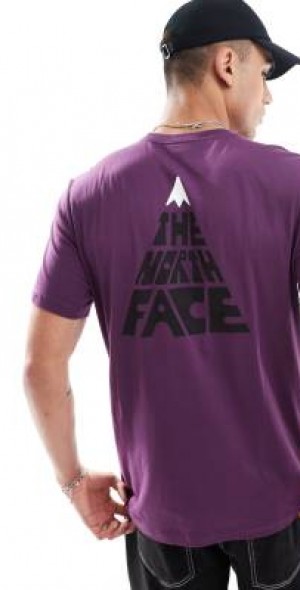 The North Face - Brand Proud t-shirt in purple