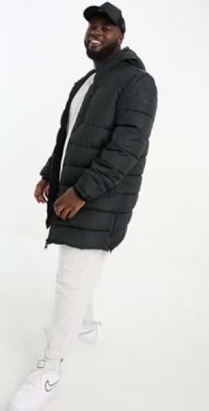 Threadbare - Plus longline padded jacket in black