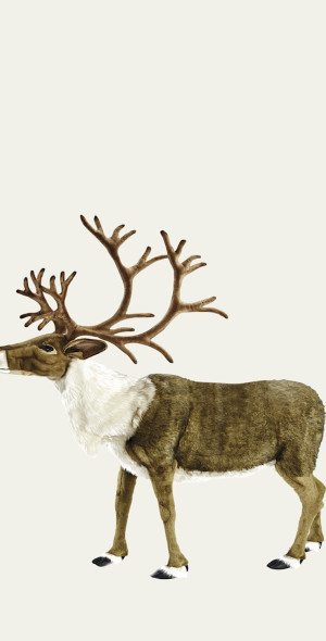 Hansa Creations - Life-Size Animatronic Nordic Christmas Reindeer