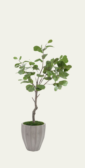 John-Richard Collection - Coastal Fog Faux Fig Tree