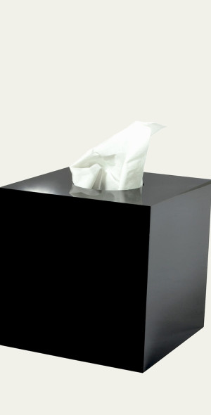 Mike & Ally - Ice Tissue Box Cover