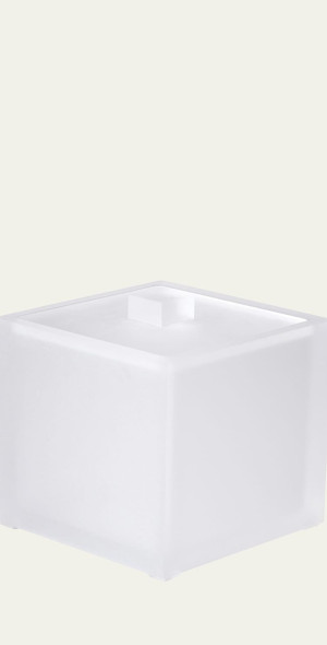 Mike & Ally - Small Frosted Ice Container