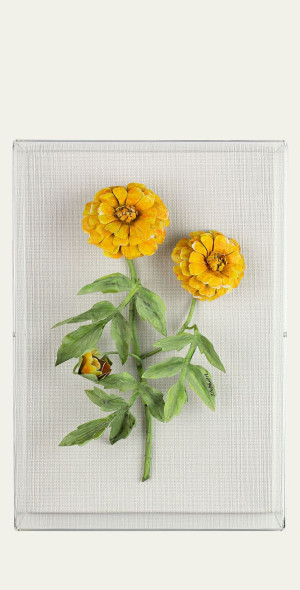 Tommy Mitchell - Marigold October Birth Flower Wall Art