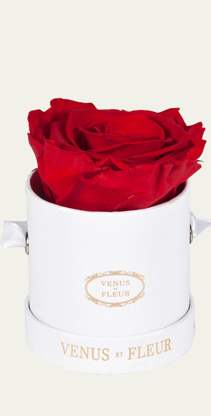 Venus ET Fleur - Classic Mini Round Rose Box
