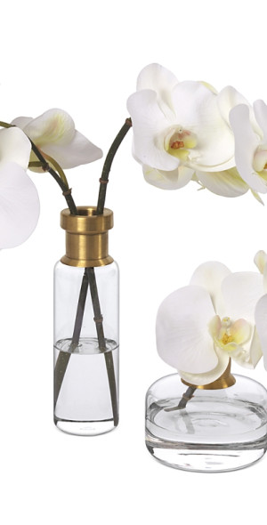 Diane James Home - Phalaenopsis Faux Floral Orchids