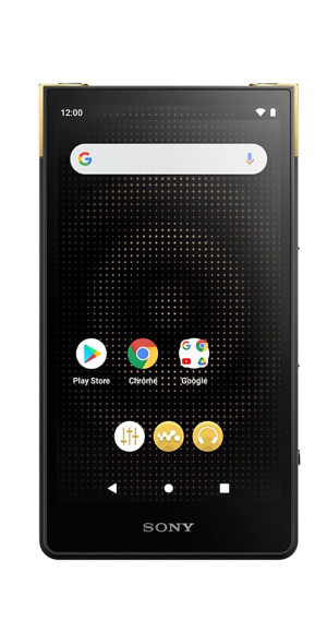 Sony - Walkman Zx Series Hi-Res Digital Music Player with Bluetooth ...