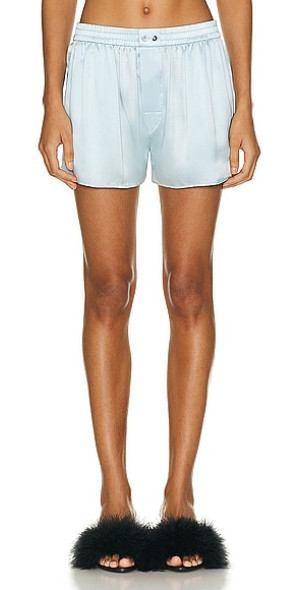 Amazing Alexander Wang Boxer Shorts Pictures