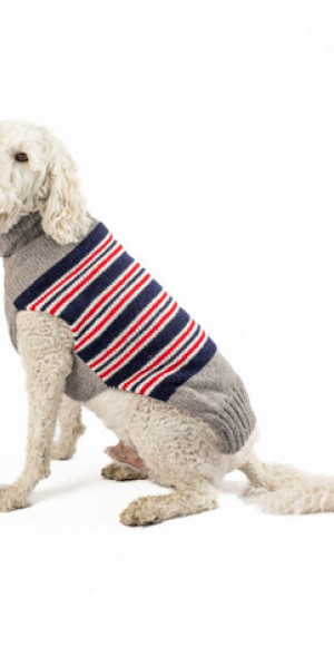 Chilly Dog - Charlie Stripe Dog Sweater