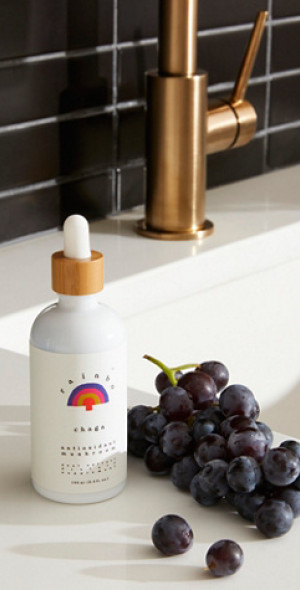 Rainbo Rainbo Chaga Antioxidant Super Mushroom Tincture