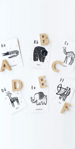 Wee Gallery - Alphabet Adventure Bundle