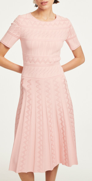 Carolina Herrera - - Embroidered Midi Dress - Pink - XL - Moda Operandi