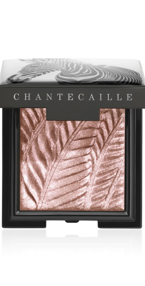Chantecaille - Luminescent Eye Shade - Zebra - Moda Operandi