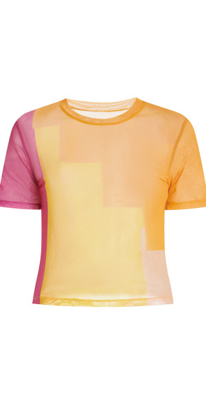 House of Aama - - Exclusive Mesh Cropped Top - Orange - US 6 - Moda ...