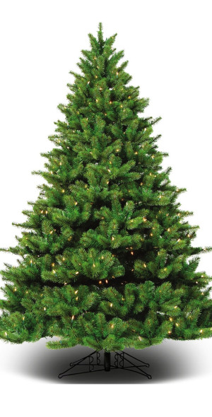 Barcana - 7.5' Appalachian Fir Tree