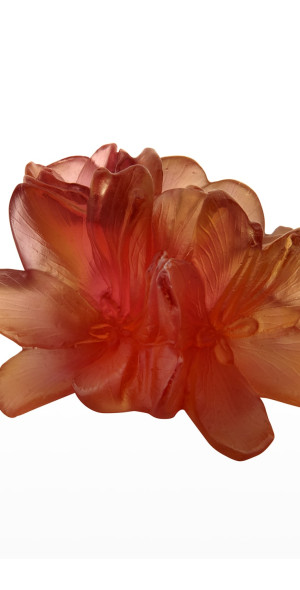 Daum - Small Safran Flower