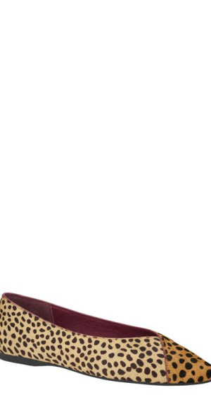 Birdies - Goldfinch Pointed Toe Ballet Flat in Mini Cheetah Tipped Calf ...