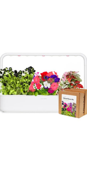 Click & Grow - Smart Garden 9 Big Vibrant Flower Kit in White at Nordstrom