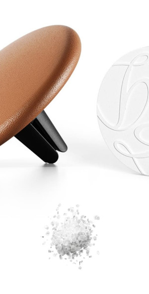 Delfino - Sage Camel Lambskin Car Diffuser and Insert in Tesla at Nordstrom