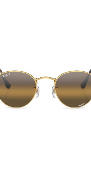 Ray-Ban - 53mm Round Polarized Sunglasses in Gold Flash