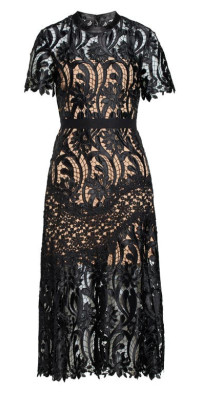 Self Portrait - Women's Designer Clothing At The Cool Hour