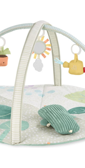 Skip Hop - Garden Oasis Activity Gym in Multi at Nordstrom