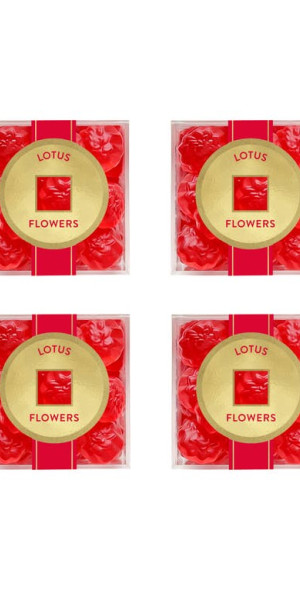 sugarfina - Set of 4 Lotus Flower Candy Cubes in Red at Nordstrom