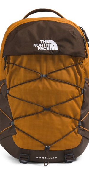 The North Face - Kids' Borealis Backpack in Timber Tan/Demitasse Brown ...