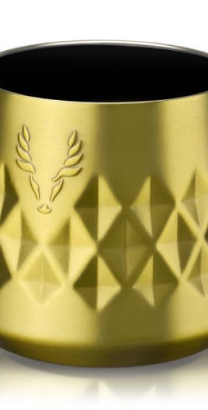 Viski - Paragon Stainless Steel Whiskey Taster in Gold at Nordstrom