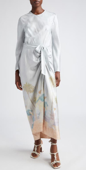 Zimmermann - Dancer Print Draped Long Sleeve Silk Dress at Nordstrom