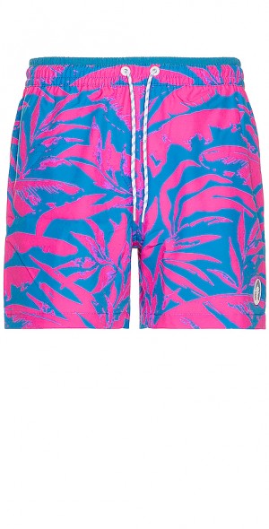 Chubbies - The Palm Springers 5.5 Swim Trunk