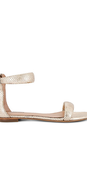 Lola Cruz - Amy Sandal
