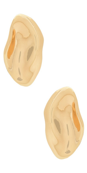 SHASHI - Barcelona Stud